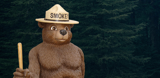 Smokey Bear – SmokeyZone