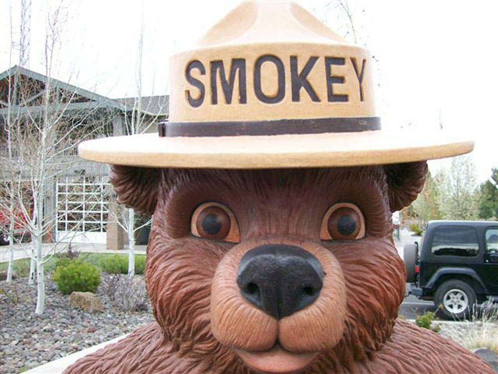 Smokey Bear - The True Story | Smokey Zone – SmokeyZone